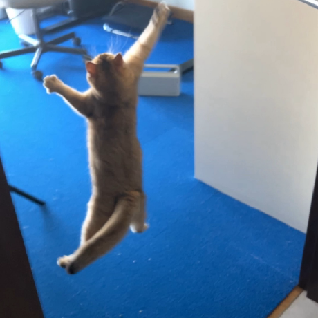 Categories - Haoyu Zhu's Homepage